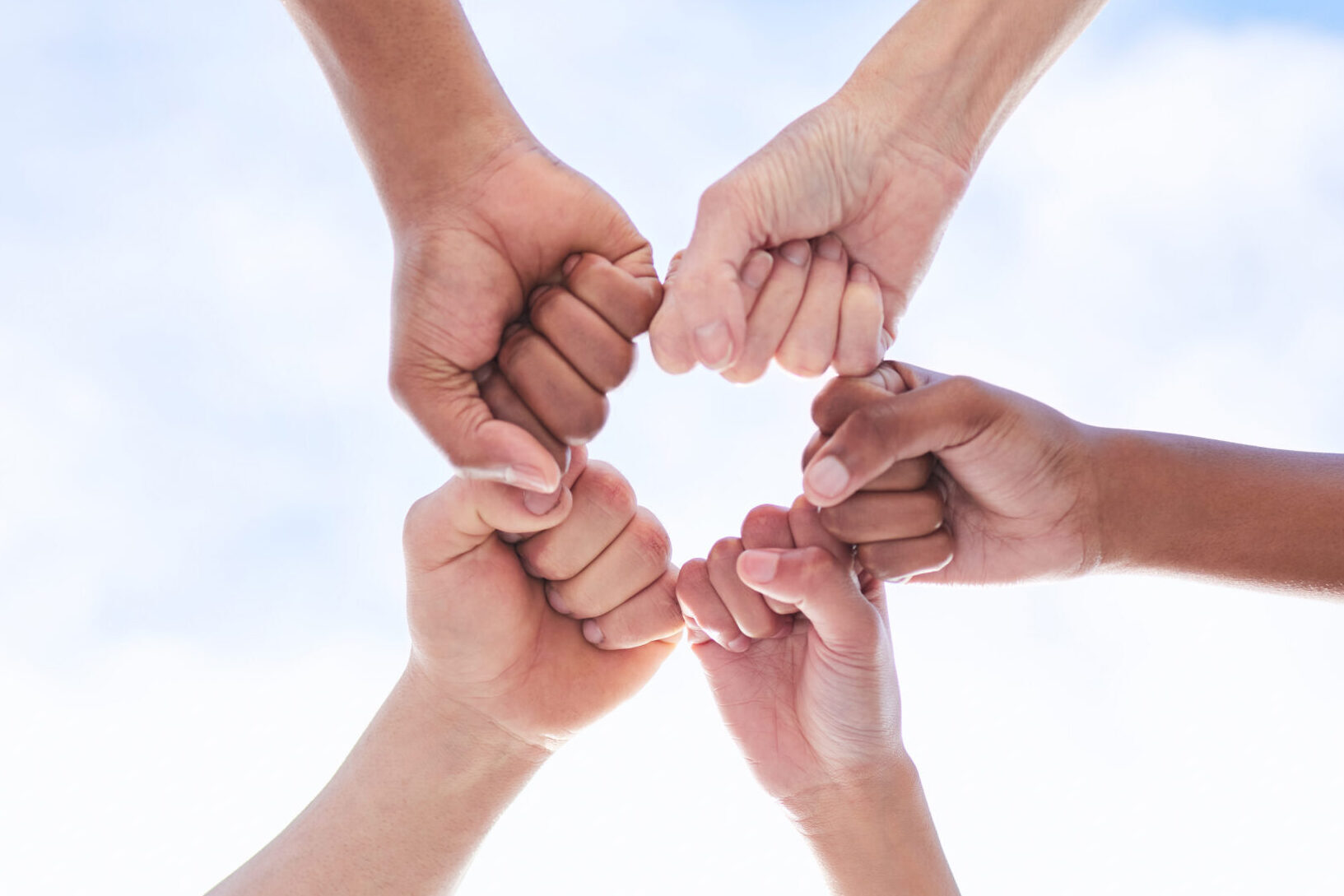 Partnership / who is involved | HN Company